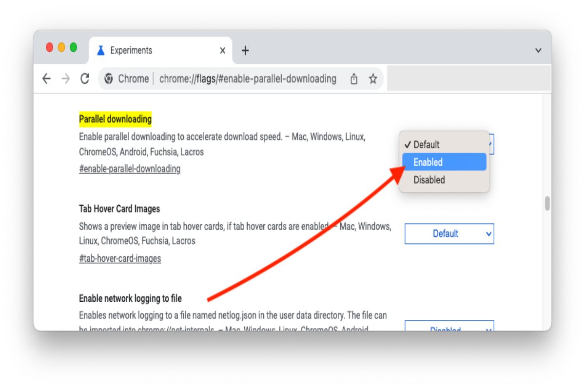 Chrome Flags /# Enable Parallel Downloading Chrome Flags /# Enable Parallel Downloading